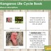 The Kangaroo Life Cycle Book Montessori Nomenclature | Etsy
