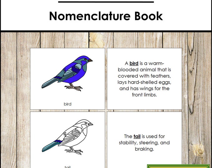 Parts of the Bird Nomenclature Cards - Etsy