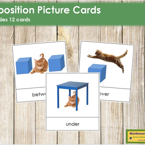 Homonym Words & Picture Cards Montessori Grammar Printable - Etsy