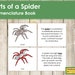 Parts of a Spider Nomenclature Book RED Montessori Zoology - Etsy Canada
