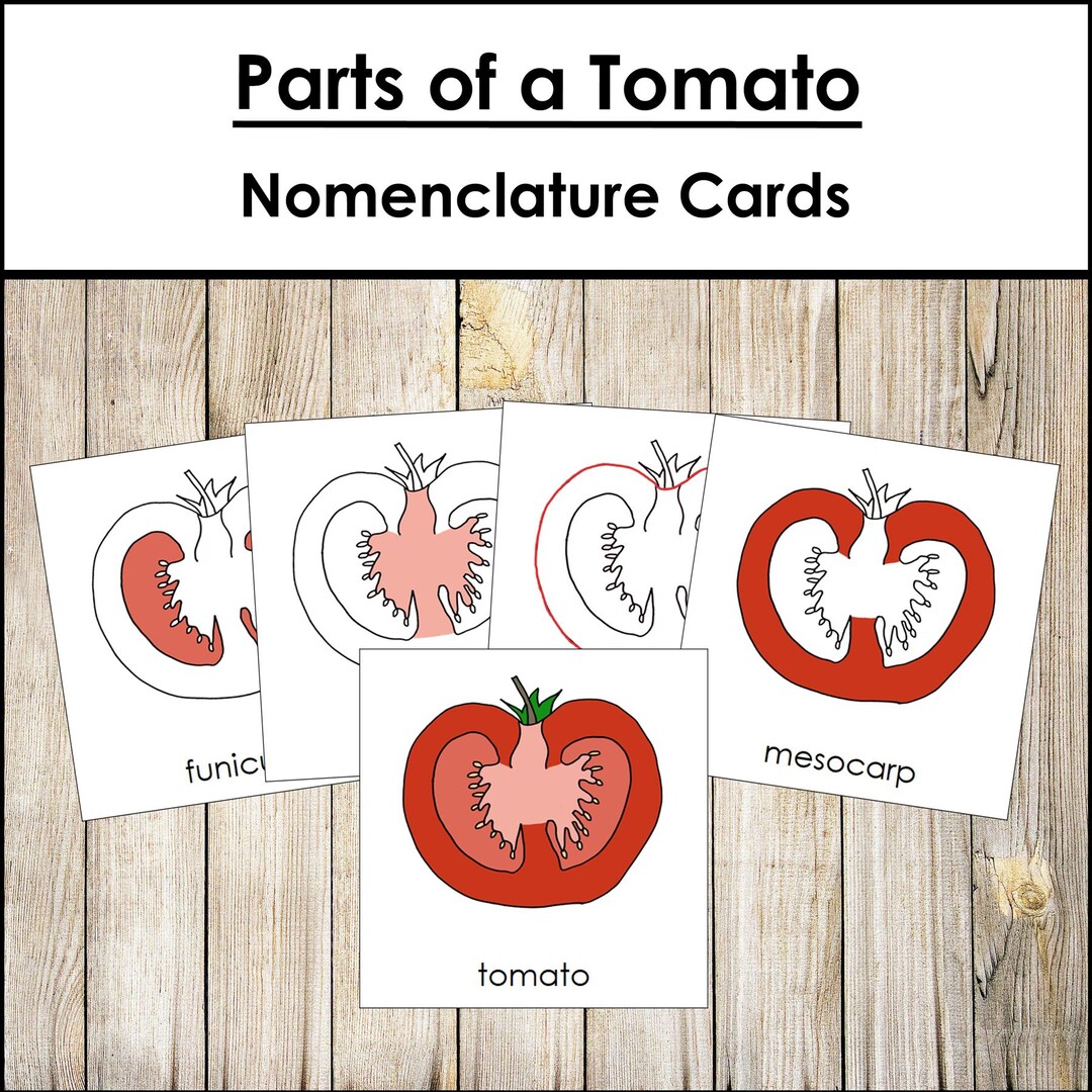 Parts of a Tomato Nomenclature 3-part Cards & Blackline Master ...