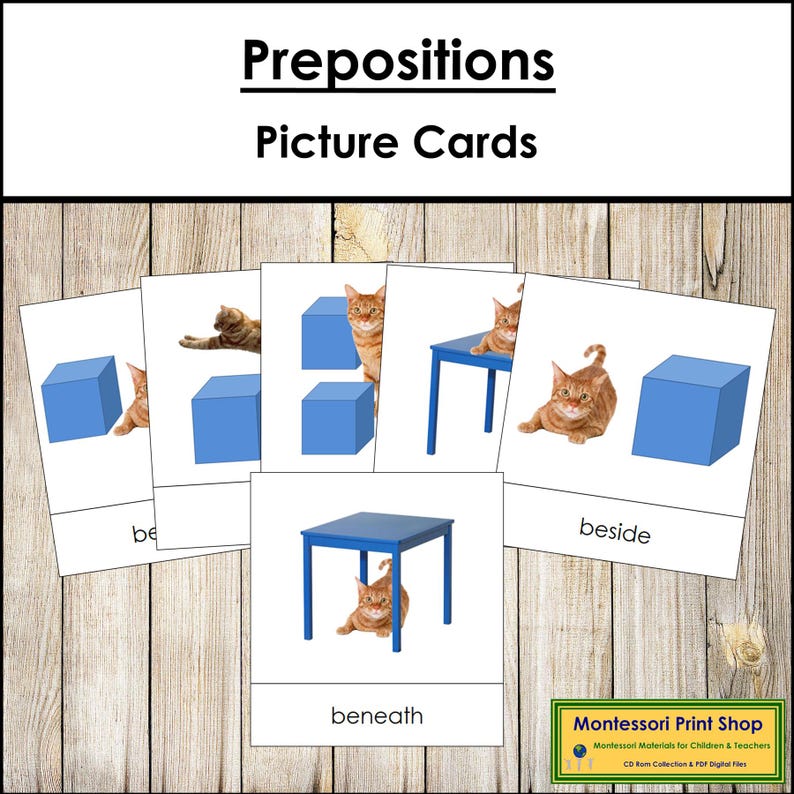 Preposition Cards [cat-theme] - Montessori Grammar & Language (digital ...