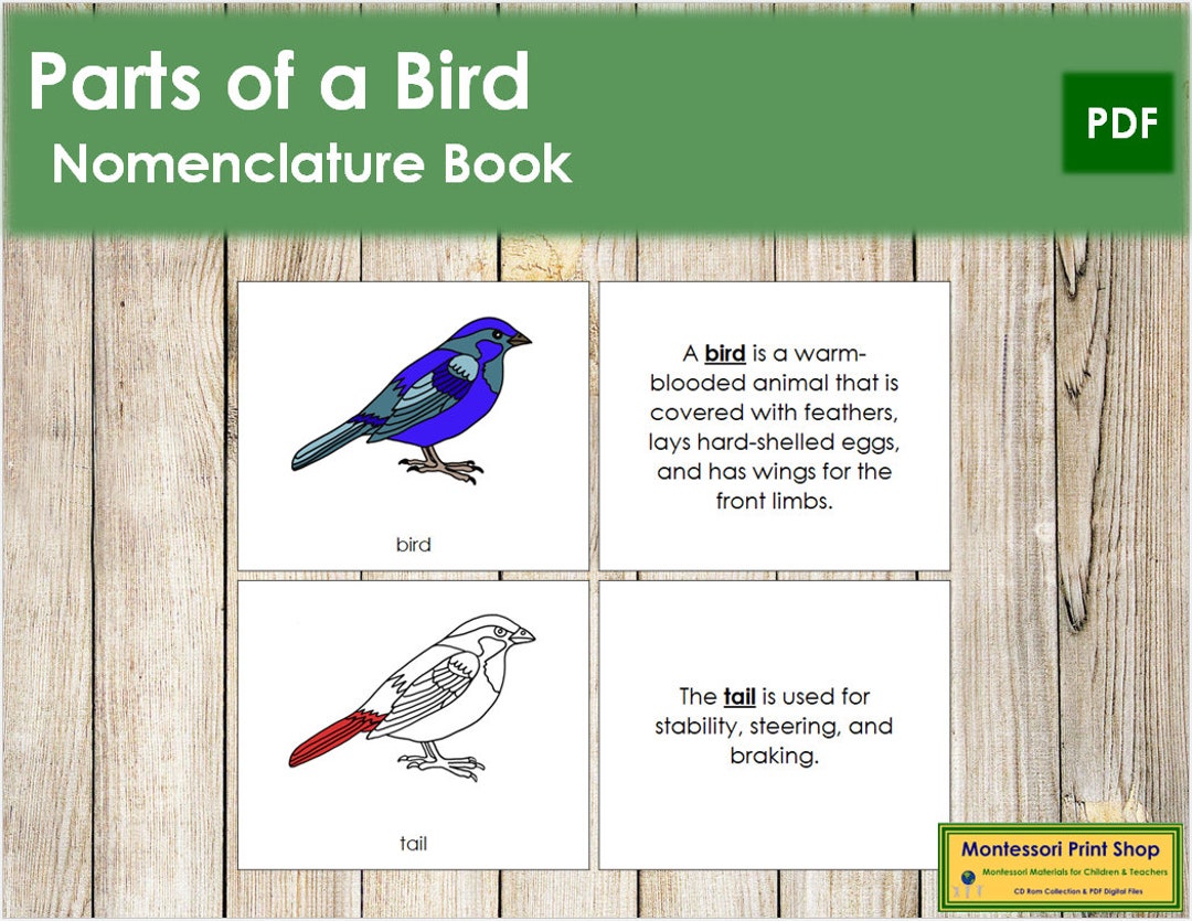 Parts of a Bird Nomenclature Book RED Montessori Zoology - Etsy Canada