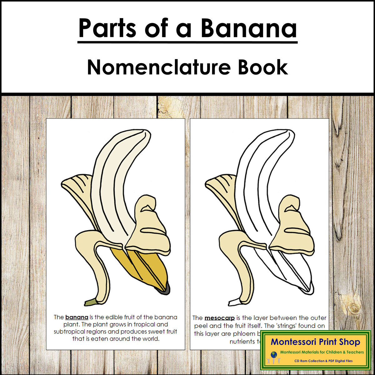 Parts of a Banana Nomenclature Book Montessori Botany Printable ...