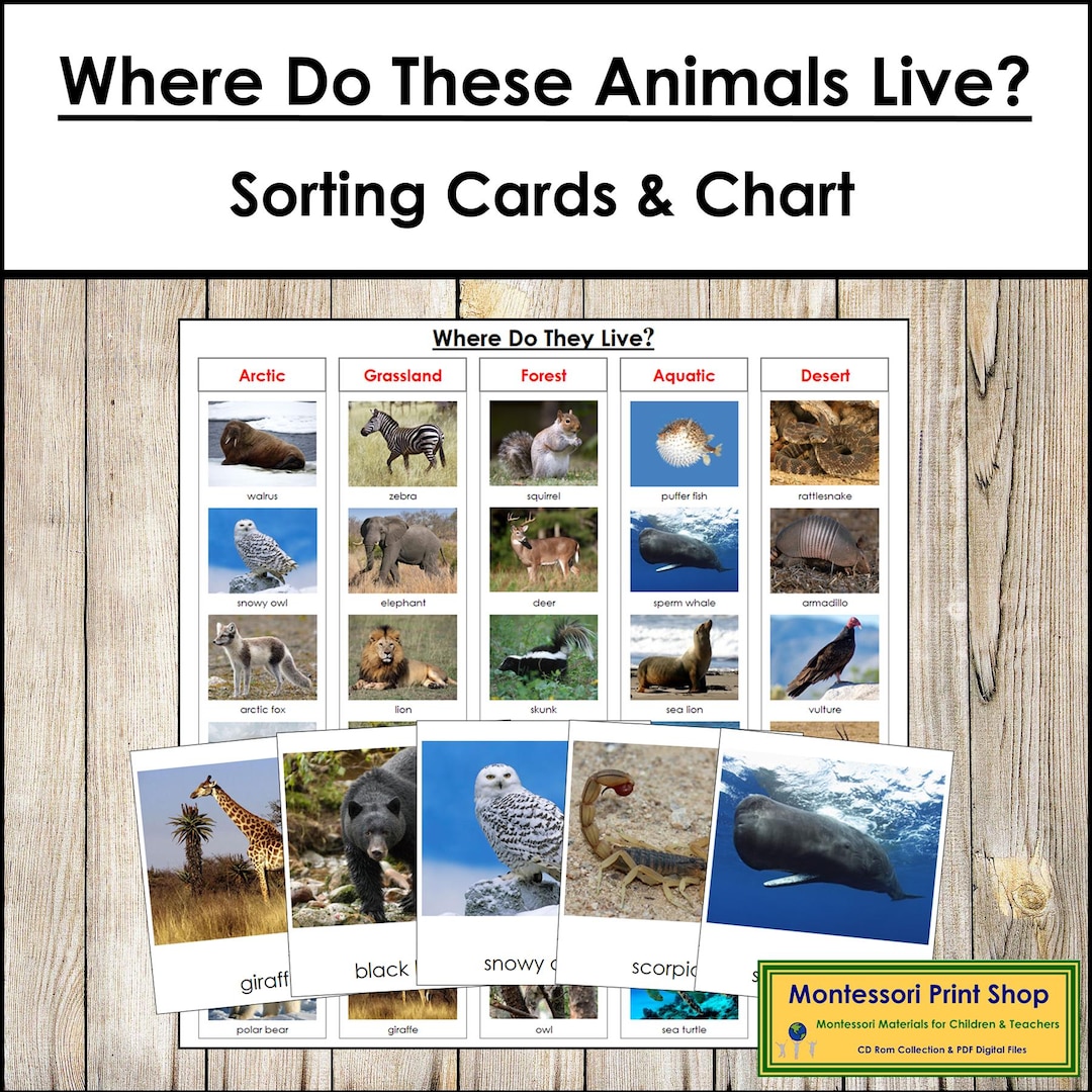 Where Do These Animals Live Sorting Cards & Charts - Montessori Zoology ...