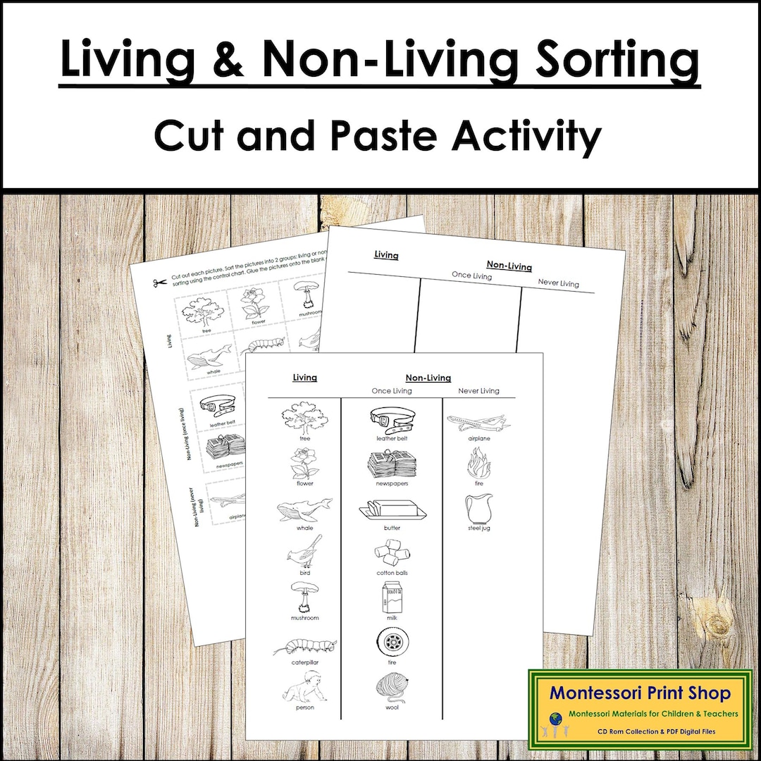 Living and Non-living Sorting Cut & Paste Activity [blackline Masters ...