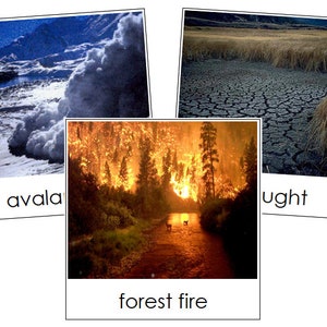 Natural Disasters Nomenclature 3-part Cards - Science - Printable ...