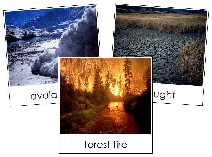 Natural Disasters Nomenclature 3-part Cards Science - Etsy