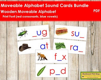 Montessori Moveable Alphabet Sound Cards Bundle Pink/blue | Etsy