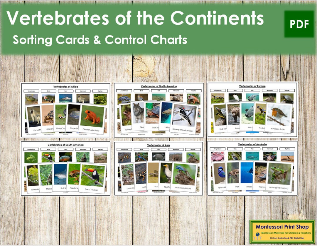 Vertebrates of the Continents Sorting Montessori Zoology - Etsy