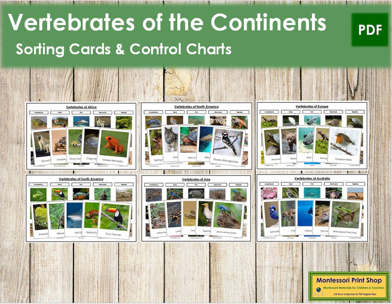 Vertebrates of the Continents Sorting Montessori Zoology - Etsy