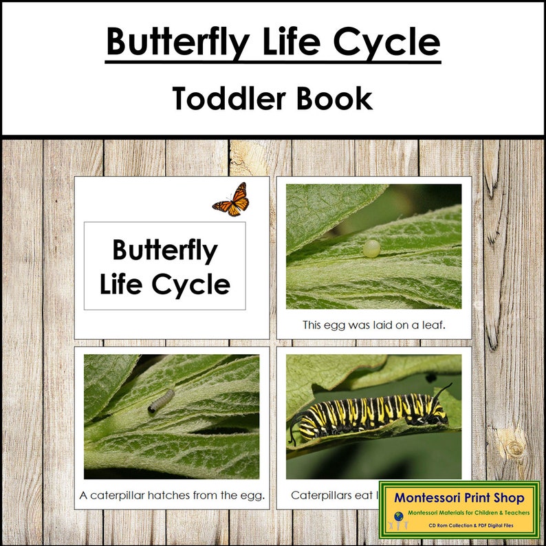 Butterfly Life Cycle Book - Printable Toddler Montessori Material ...