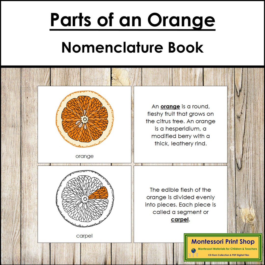 Parts of an Orange Nomenclature Book - Montessori Botany - Printable ...