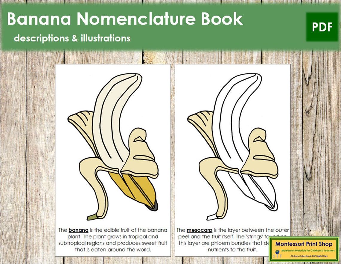 Parts of a Banana Nomenclature Book Montessori Botany | Etsy