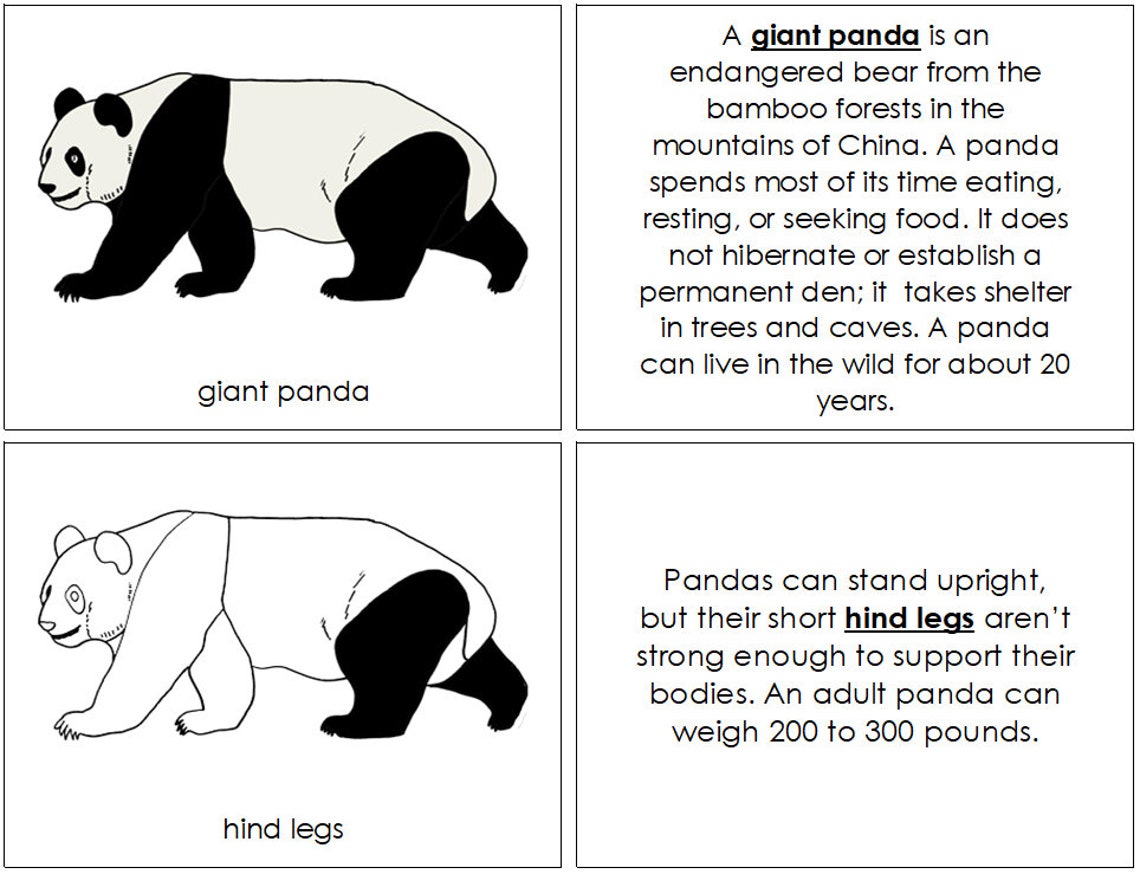Parts of a Giant Panda Nomenclature Book Montessori Zoology - Etsy Canada