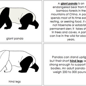 Parts of a Giant Panda Nomenclature Book - Montessori Zoology ...