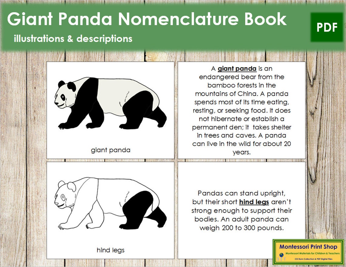 Parts of a Giant Panda Nomenclature Book Montessori Zoology | Etsy Canada