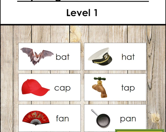 Phonics Sound & Picture Sorting - Montessori Language Activity (digital ...