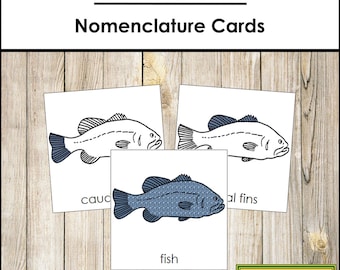 Montessori 3 Part Cards Parts of a Leaf - Etsy