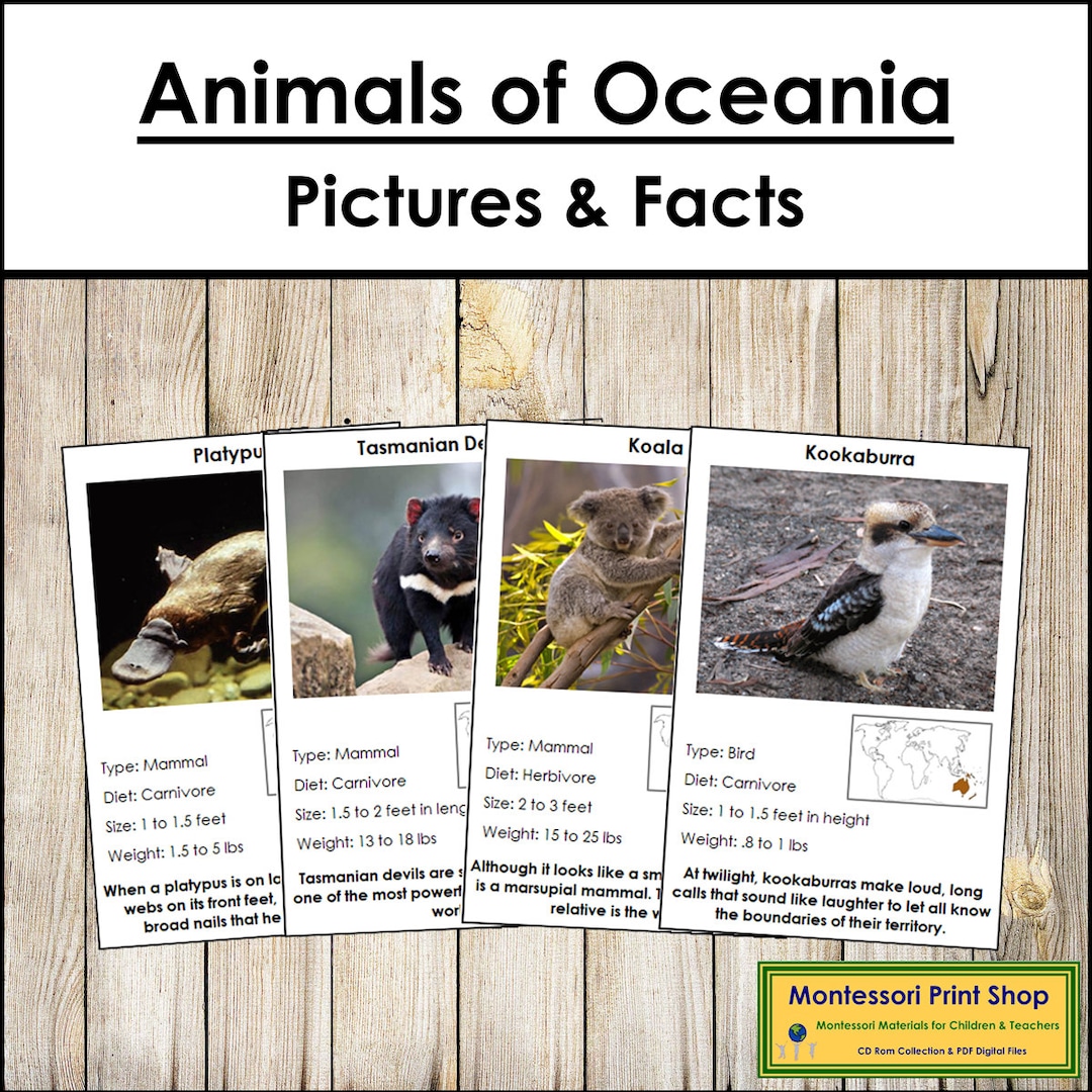 Montessori Animals of Australia/oceania Information Cards [facts ...