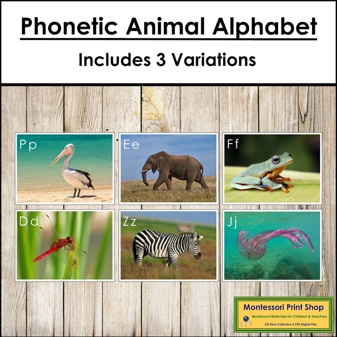 Phonetic Animal Alphabet Cards - Printable Pre-reading Montessori Cards ...
