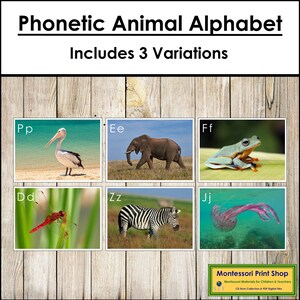 Phonetic Animal Alphabet Cards - Printable Pre-reading Montessori Cards ...