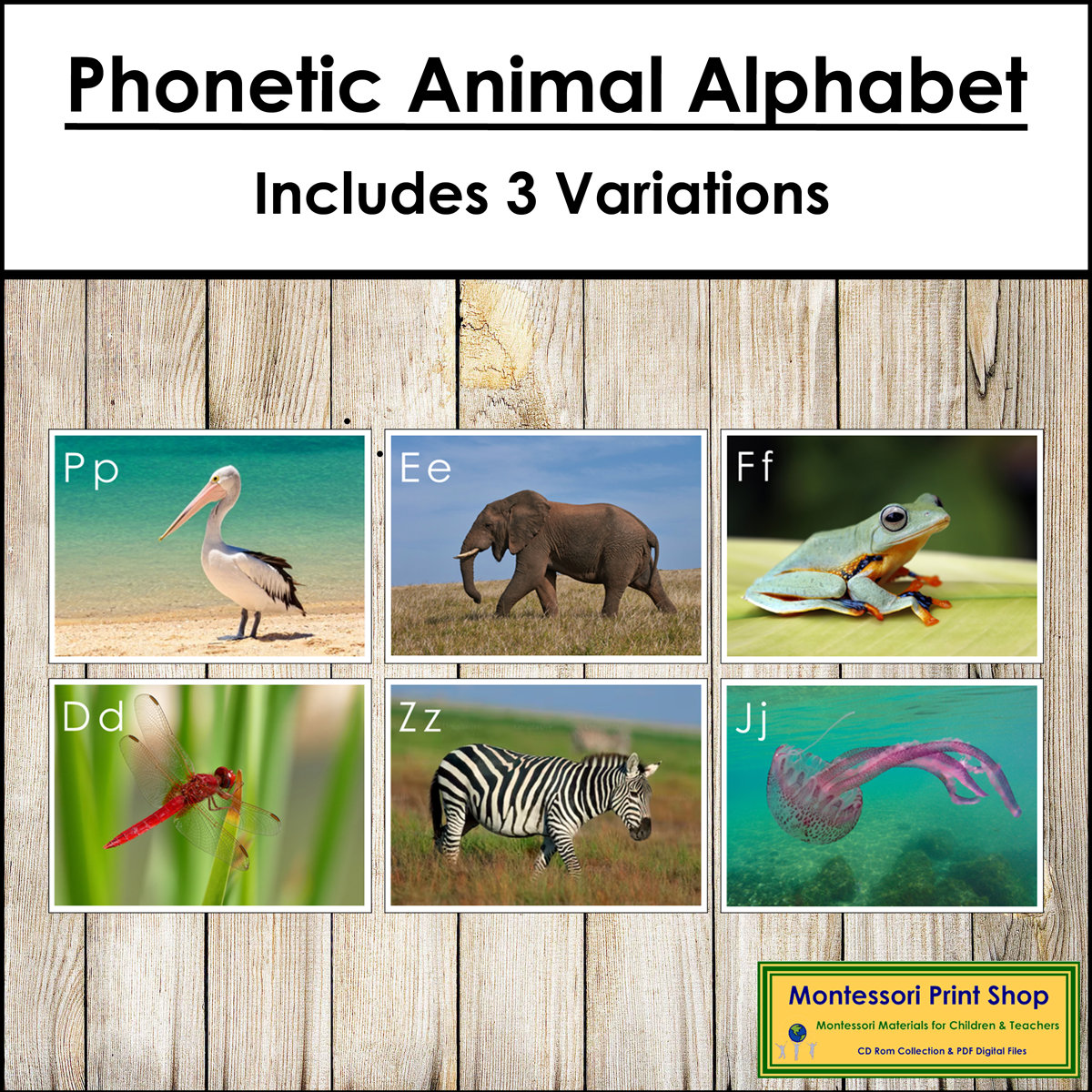 Phonetic Animal Alphabet Cards - Montessori Pre-reading Phonics ...