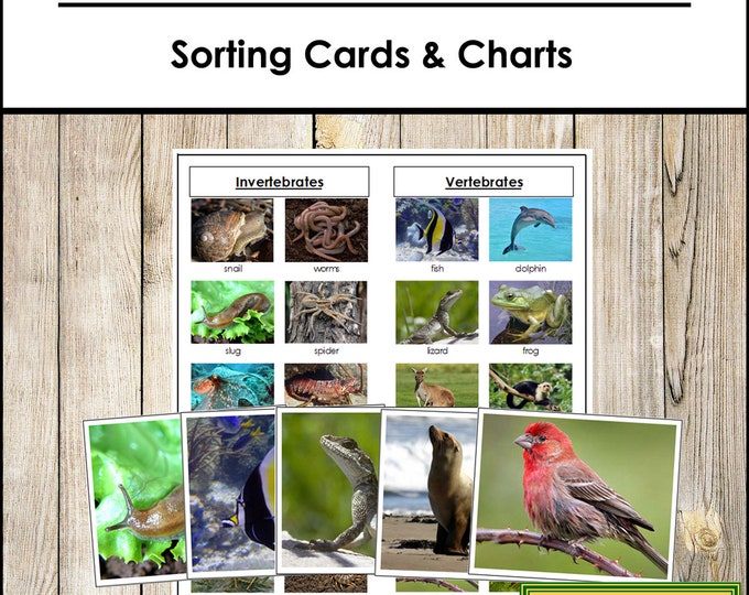 Herbivores, Carnivores and Omnivores Sorting Cards & Charts ...