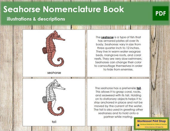 Parts of a Seahorse Nomenclature Book Montessori Zoology | Etsy