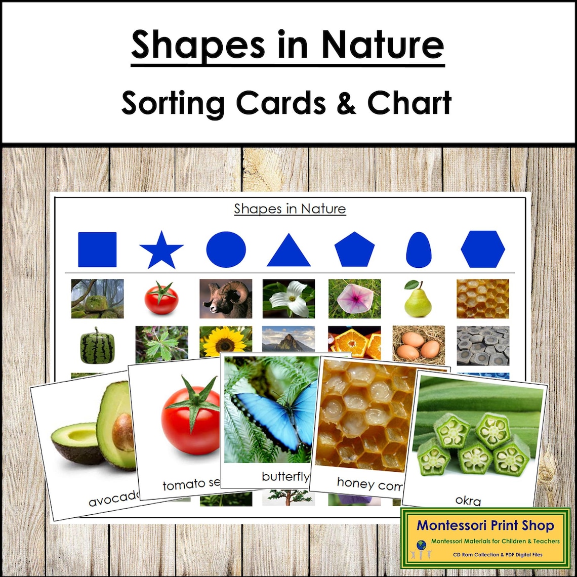 Shapes in Nature Sorting Cards & Chart - Montessori Geometry (digital ...