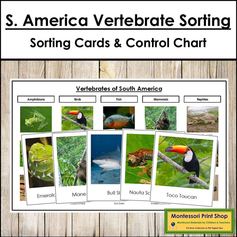Montessori Vertebrates of South America Sorting Cards & Chart - Animal ...