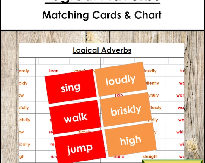 Montessori Adjective & Noun Matching - Etsy