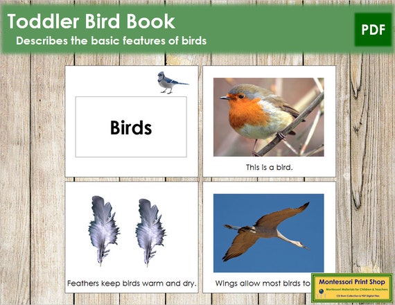 About Birds Book Printable Toddler Montessori Materials | Etsy Canada