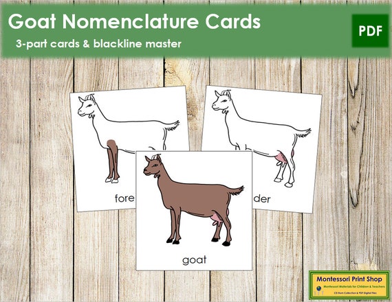 Parts of a Goat Nomenclature 3-part Cards Montessori Zoology - Etsy