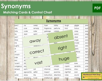 Contractions color-coded Montessori Grammar Printable | Etsy