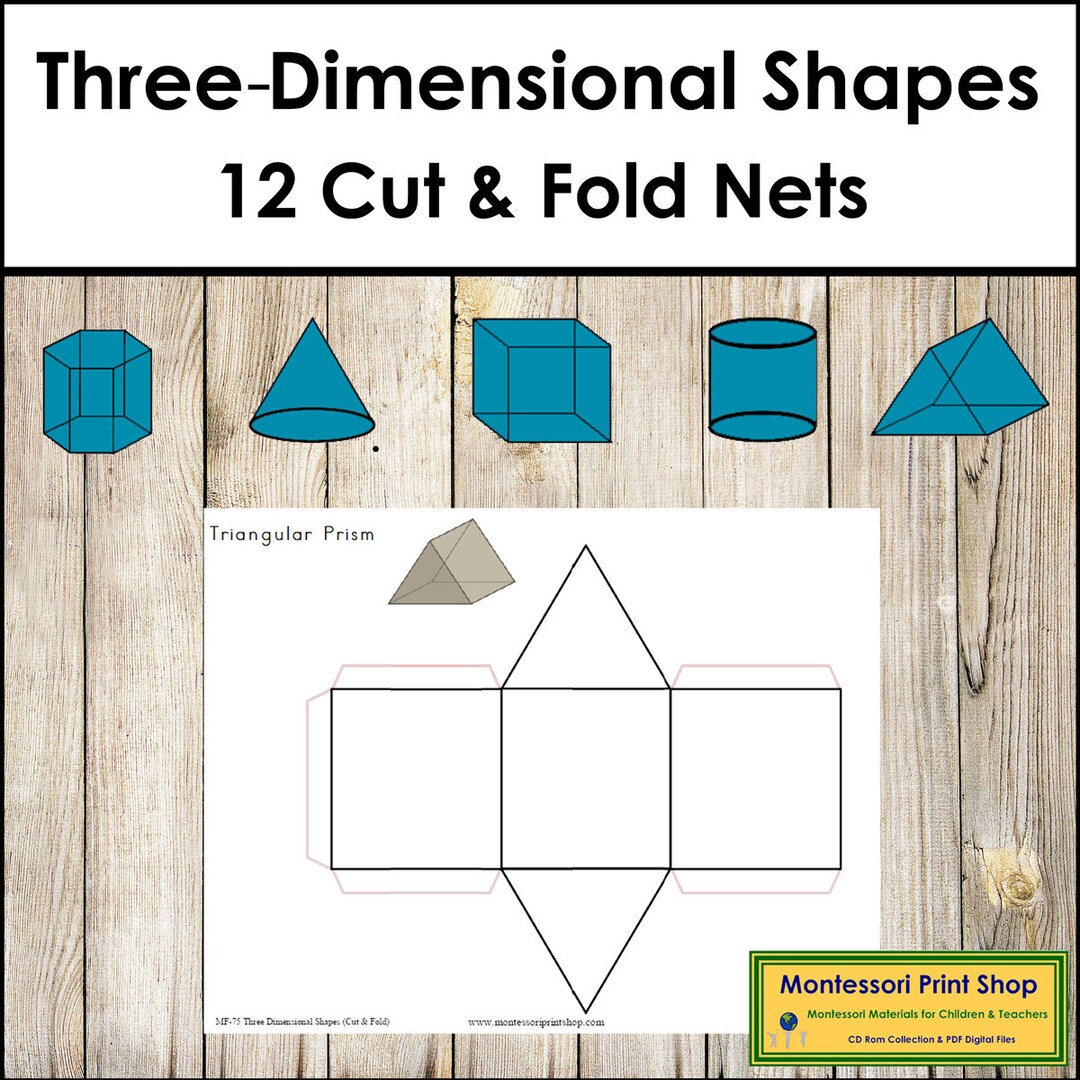 Three-dimensional Shapes Cut & Fold Nets Geometry - Etsy