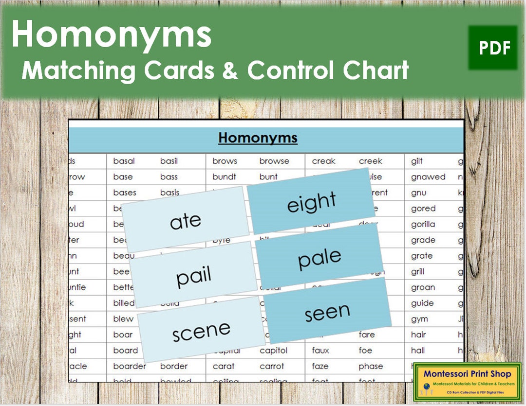 Homonyms color-coded Montessori Grammar Printable - Etsy