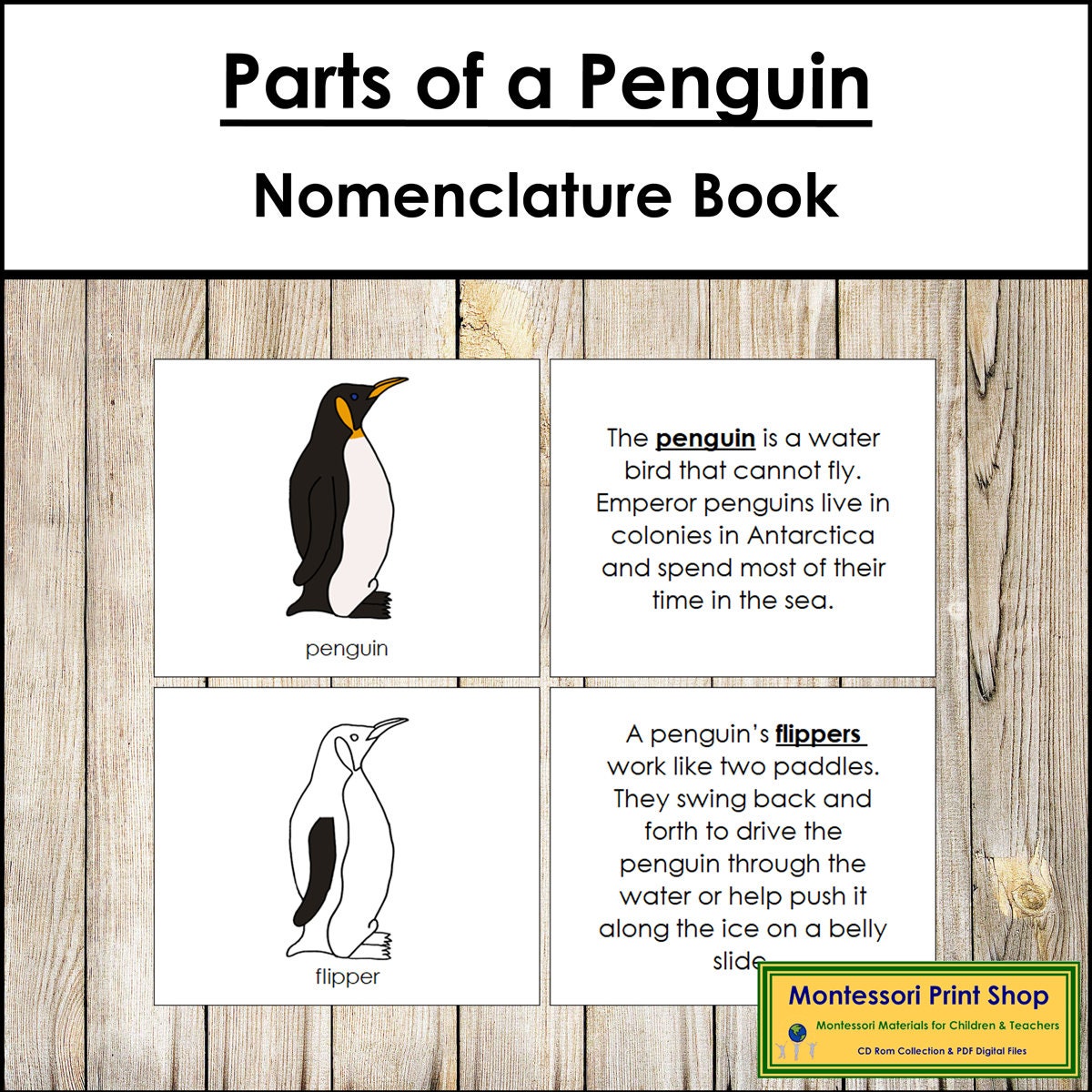 Parts of a Penguin Nomenclature Book Montessori Zoology Printable ...