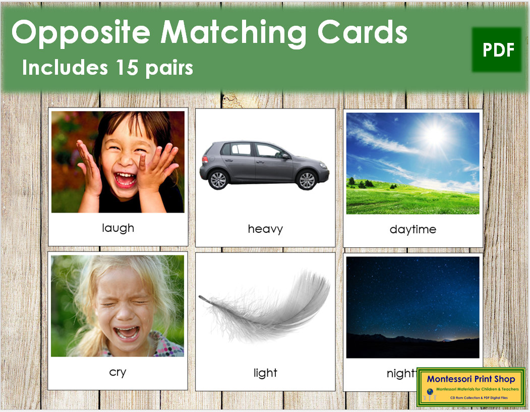 Opposite Matching Cards Montessori Language & Grammar - Etsy