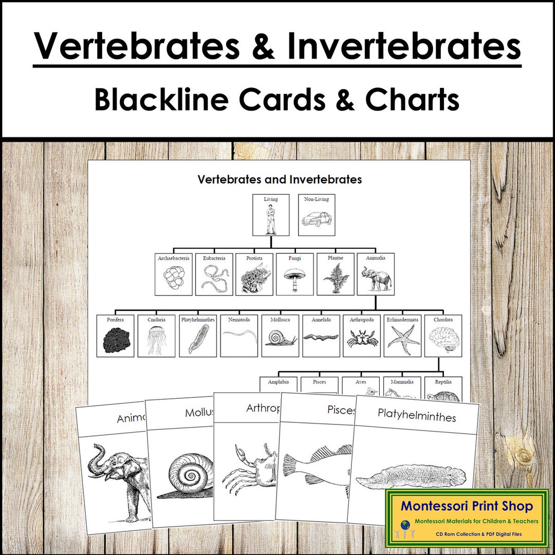 Vertebrates and Invertebrates Cards & Charts [blackline Masters ...