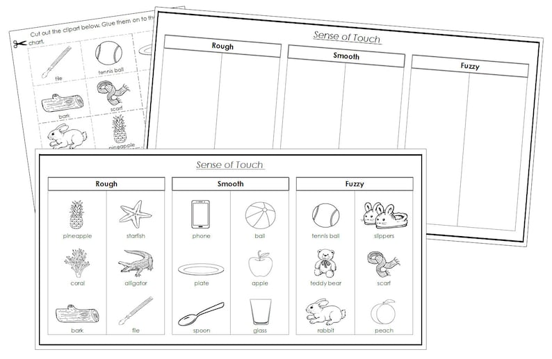 Montessori Sense of Touch Sorting: Rough, Smooth, Fuzzy (digital ...