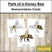 Parts of a Honey Bee Nomenclature 3-part Cards & Blackline Master ...