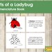 Parts of a Ladybug Nomenclature Book Montessori Zoology - Etsy Canada
