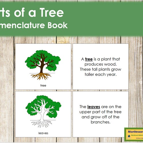 Parts of a Flower Nomenclature Book Montessori Botany - Etsy