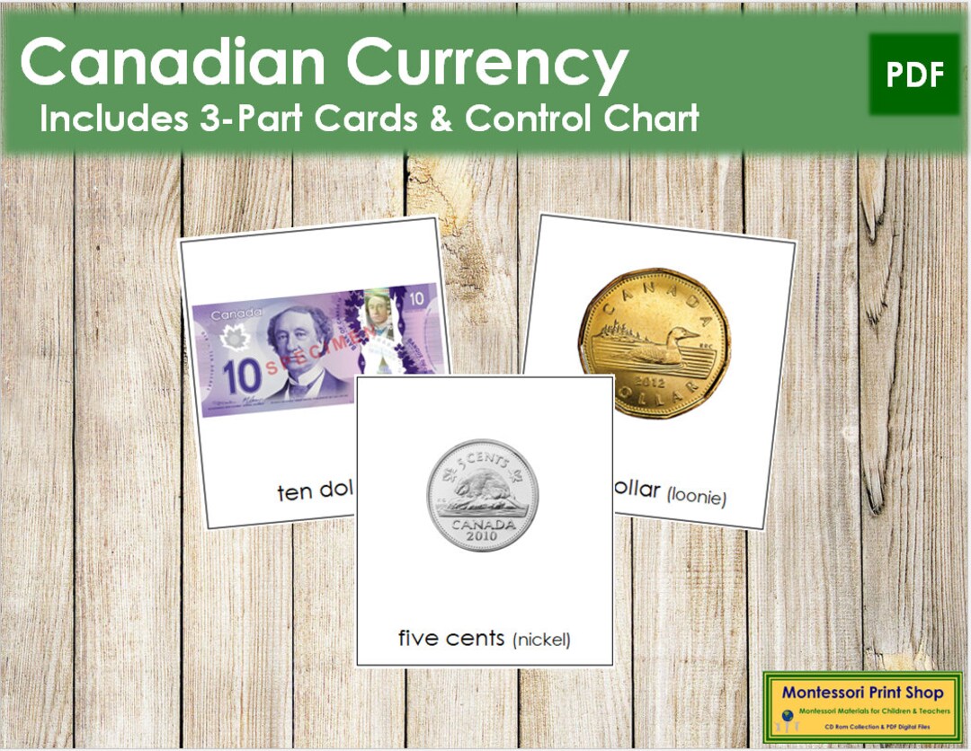 Canadian Currency Cards Printable Montessori Cards Digital - Etsy