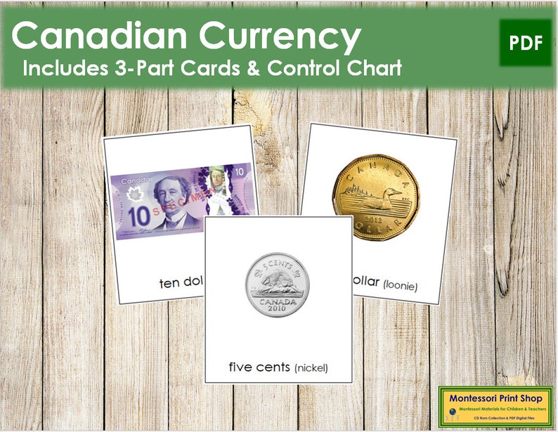 Canadian Currency Cards Printable Montessori Cards Digital - Etsy