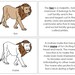 Parts of a Lion Nomenclature Book - Montessori Zoology - Printable ...