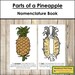 Parts of a Pineapple Nomenclature Book - Montessori Botany (digital ...