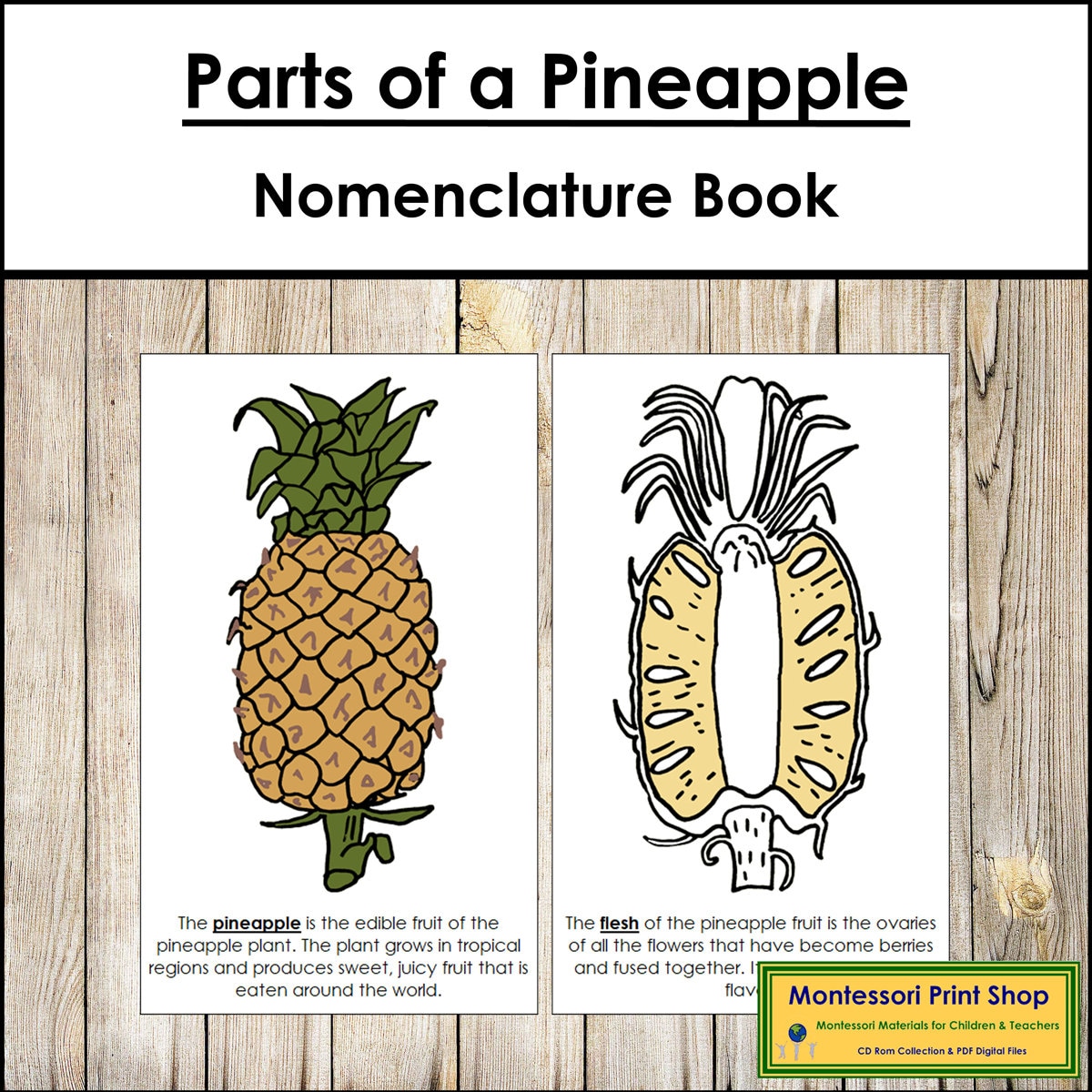 Parts of a Pineapple Nomenclature Book Montessori Botany Printable ...