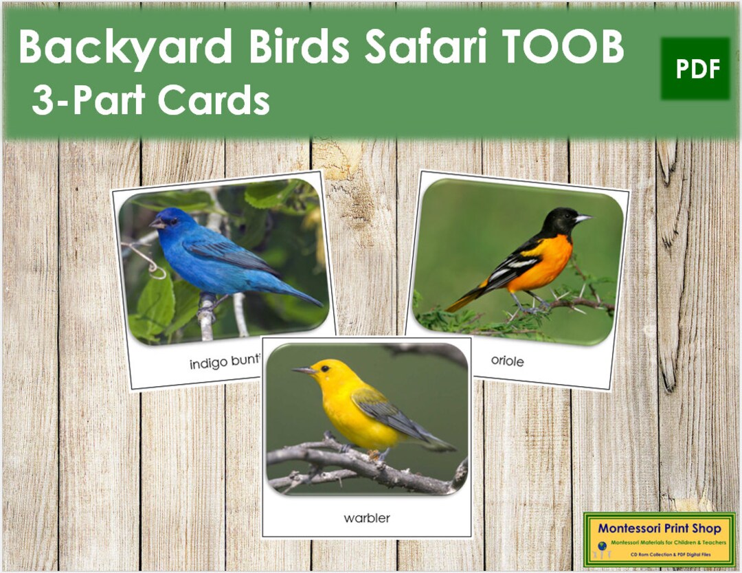 Backyard Birds Safari TOOB Cards Printable Montessori Cards - Etsy